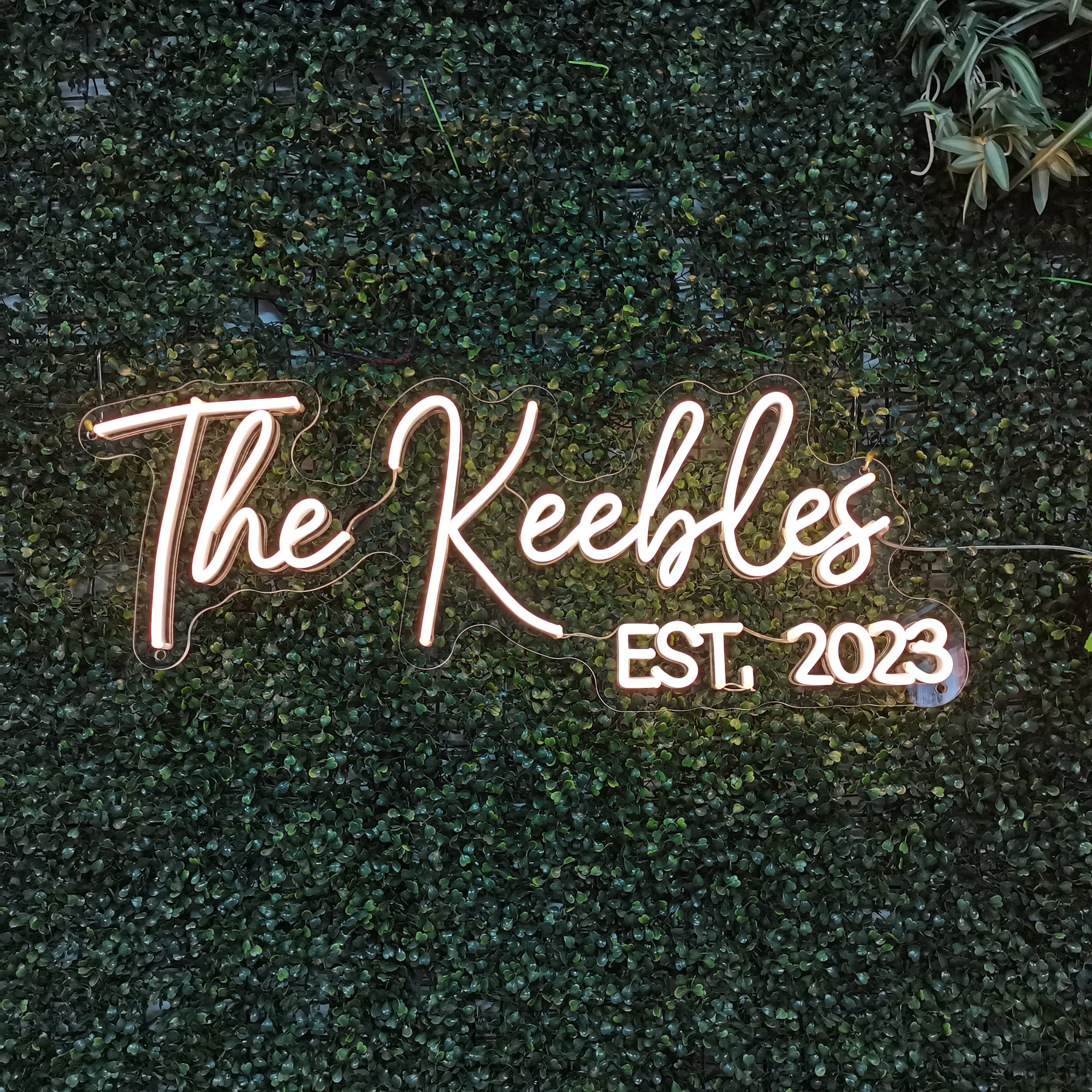 Wedding Neon Sign with EST Year – Neon On Demand
